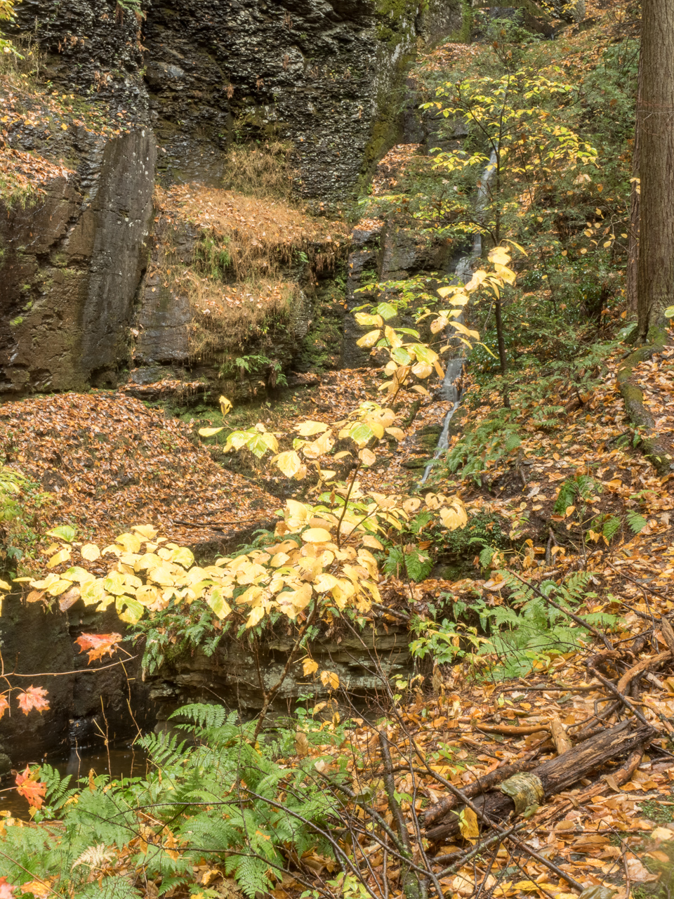 Dingmans Falls & Silverthread Falls | Bob Hahn Photo Blog