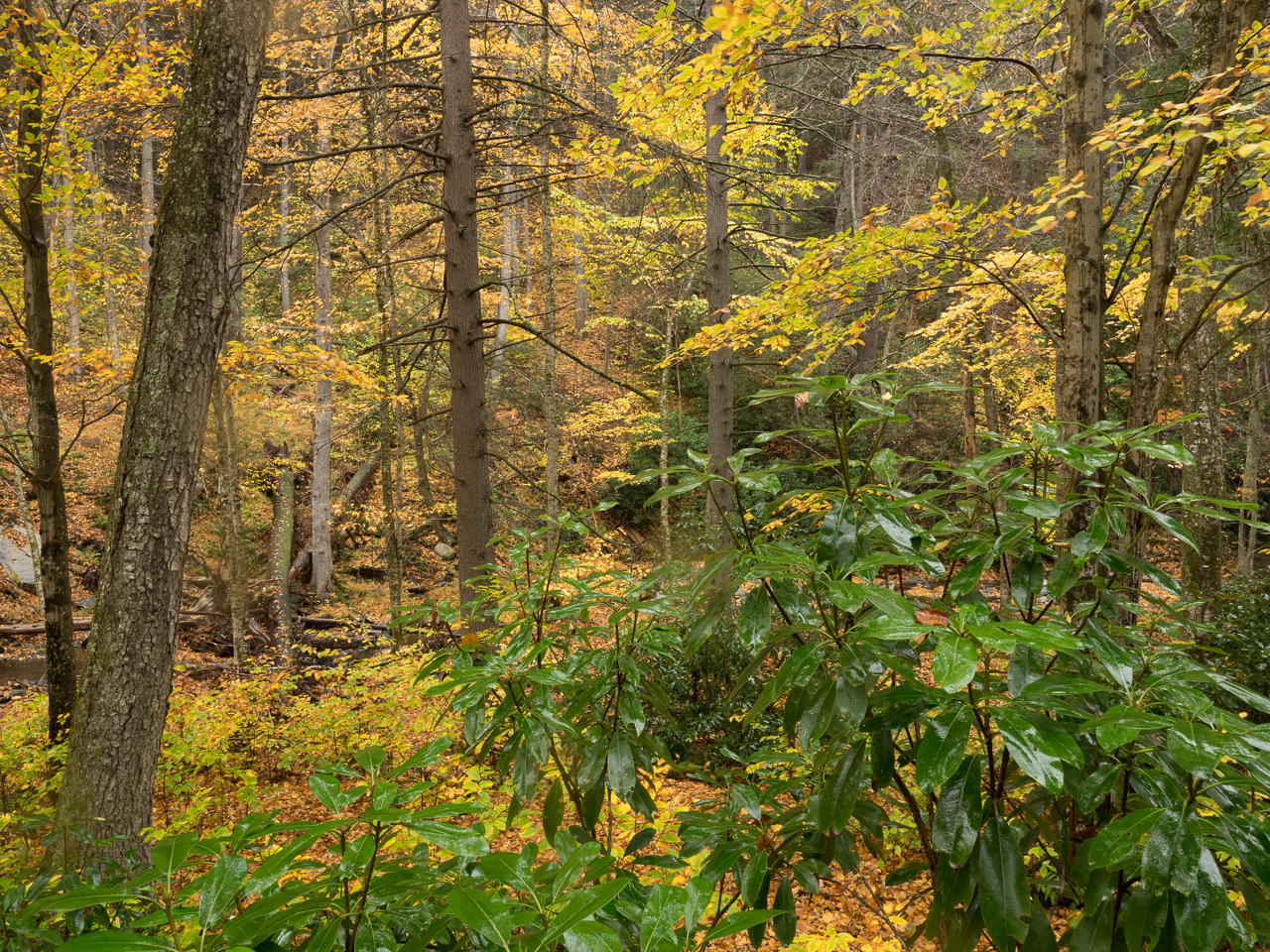 Dingmans Falls & Silverthread Falls | Bob Hahn Photo Blog