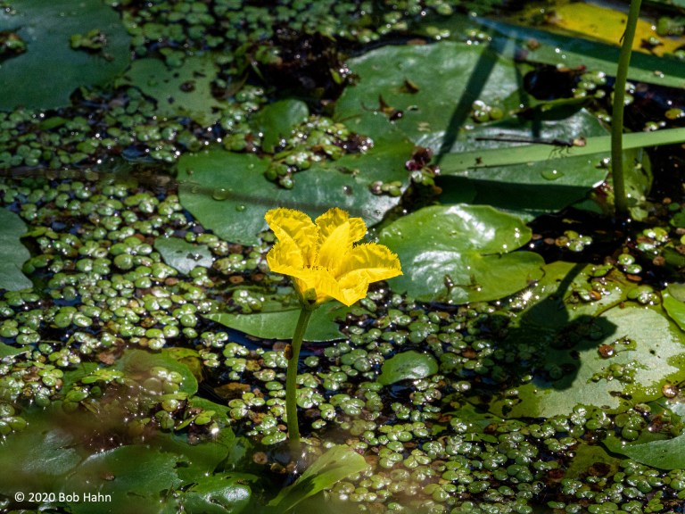 Bob Hahn Photo Blog | Page 2